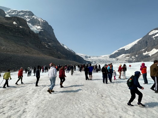 Ultimate Guide to Icefields Parkway: Scenic Stops & Highlights – Peaks ...