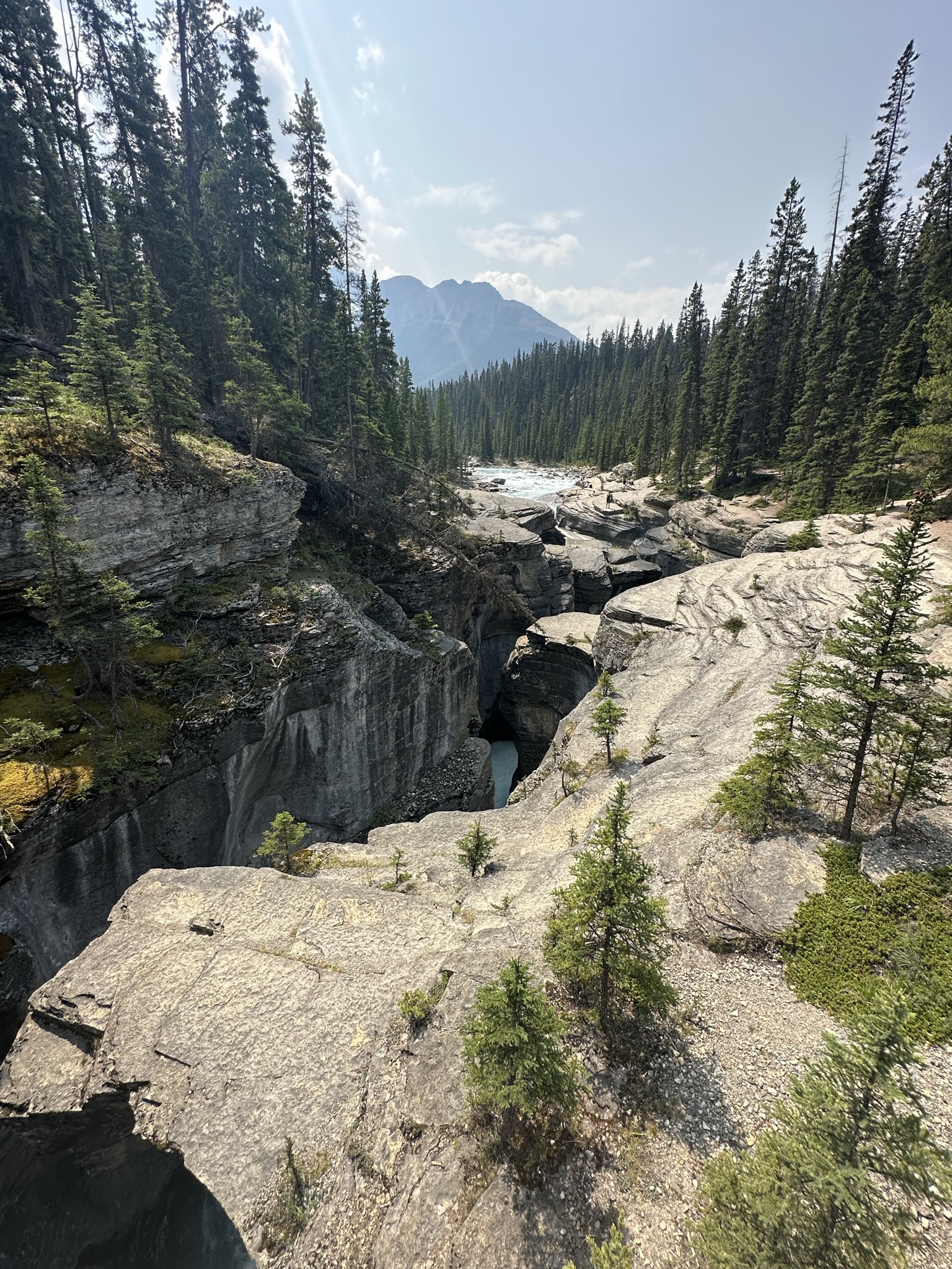Ultimate Guide to Icefields Parkway: Scenic Stops & Highlights – Peaks ...